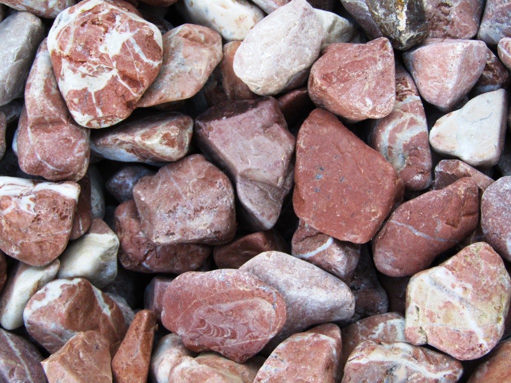 GAL 021 - GALETS ROUGES DE VERONE - DPI